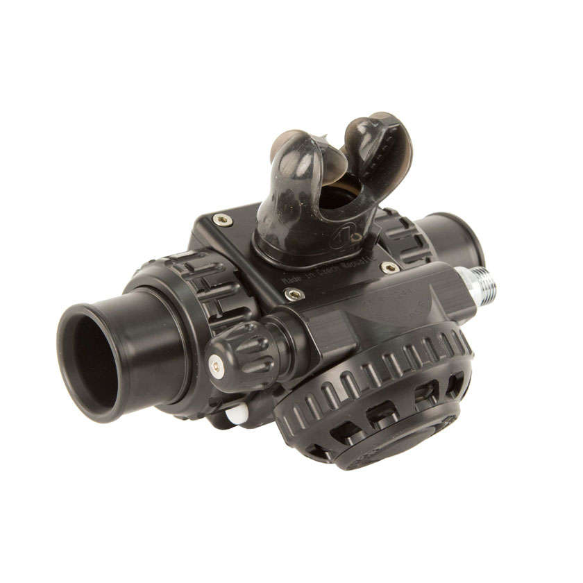 Shrimp BOV – Blue World Explorers